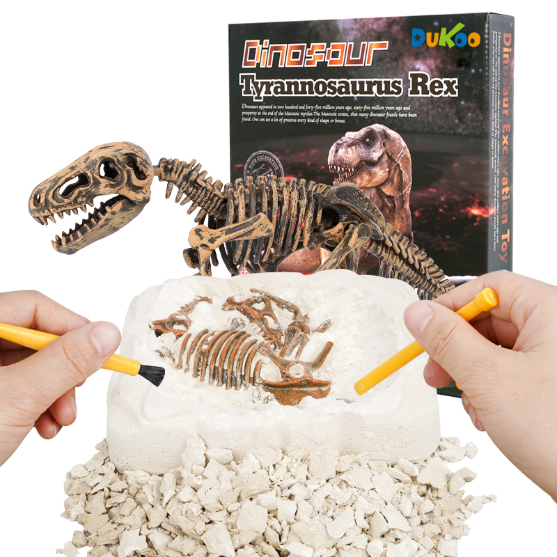 China Handcraft Dino Fossil Dig Up Bones of T Rex and Stegosaurus 3D ...